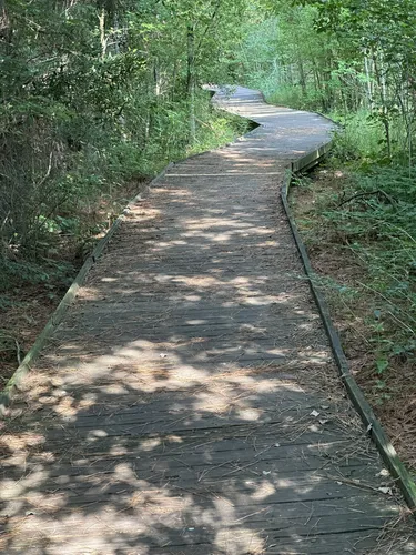 Best Hikes and Trails in Phinizy Swamp Nature Park | AllTrails
