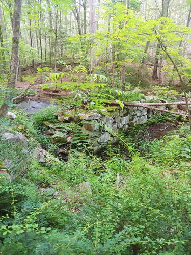 Best Hikes and Trails in North Farms Park | AllTrails