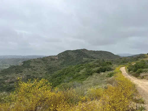 Best Hikes and Trails in Quail Hill Community Park | AllTrails