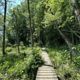 Niquette Bay State Park, Vermont - 823 Reviews, Map | AllTrails