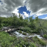 Cascade Springs Interpretive Trail, Utah - 417 Reviews, Map | AllTrails