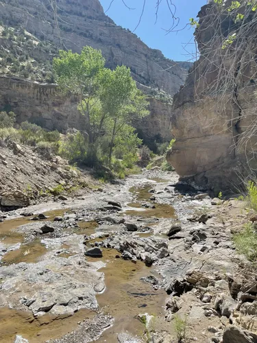 Best Hikes and Trails in Little Book Cliffs Wilderness Study Area ...