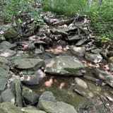 Shamokin Nature Trail, Virginia - 99 Reviews, Map | AllTrails