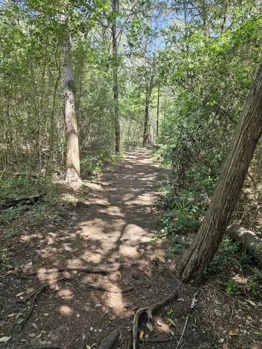Best Hikes and Trails in Buescher State Park | AllTrails