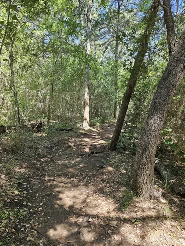 Best Hikes and Trails in Buescher State Park | AllTrails