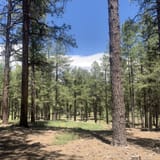 Griffith Spring Trail, Arizona - 358 Reviews, Map | AllTrails