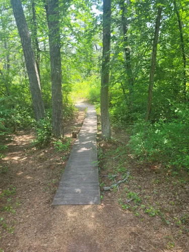 Best Hikes and Trails in Jakes Branch County Park | AllTrails