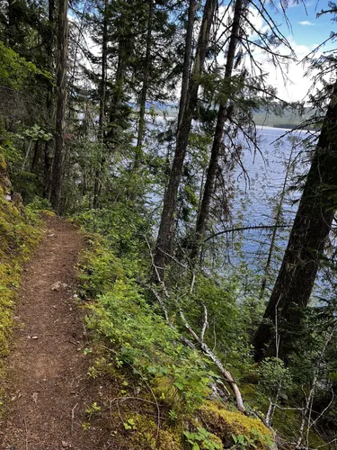Best Hikes and Trails in Priest Lake | AllTrails