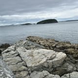 Compass Harbor Trail, Maine - 529 Reviews, Map | AllTrails