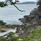 Compass Harbor Trail, Maine - 529 Reviews, Map | AllTrails