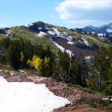 Wasatch Crest Trail, Utah - 351 Reviews, Map | AllTrails