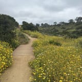 Balboa Park Loop, California - 907 Reviews, Map | AllTrails