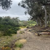 Balboa Park Loop, California - 907 Reviews, Map | AllTrails