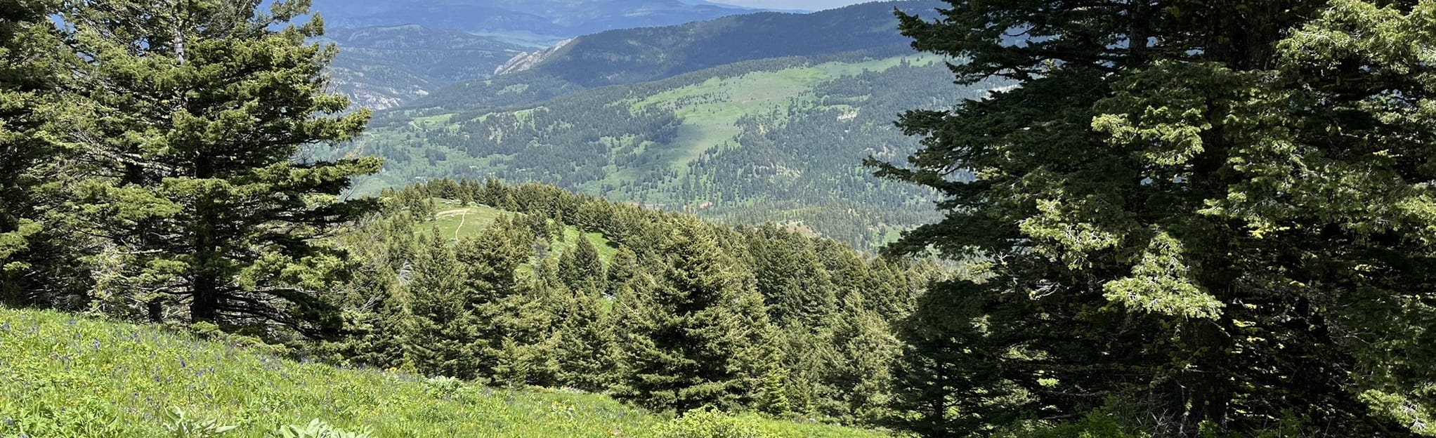 Lower Mount Ellis, Montana - 182 Reviews, Map | AllTrails