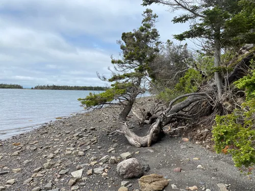 Best Hikes and Trails in Janvrin Island Nature Reserve | AllTrails