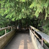 Boardman/Ottaway River Trail, Michigan - 205 Reviews, Map | AllTrails