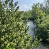 Boardman/Ottaway River Trail, Michigan - 205 Reviews, Map | AllTrails