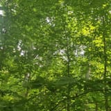 Blockhouse Point Loop Trail, Maryland - 900 Reviews, Map | AllTrails