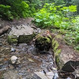 Maiden Rock Trail, Idaho - 329 Reviews, Map | AllTrails