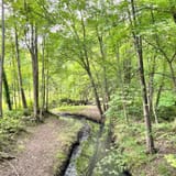 Lenape Trail , New Jersey - 496 Reviews, Map | AllTrails