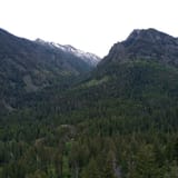 Chief Joseph Mountain Trail, Oregon - 295 Reviews, Map | AllTrails