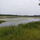 Navarino Nature Center Loop Trail, Wisconsin - 169 Reviews, Map | AllTrails