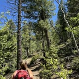 Ben Tyler Trail, Colorado - 599 Reviews, Map | AllTrails