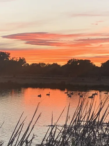 Best Hikes and Trails in Isleta Lakes Campground and RV Park | AllTrails