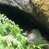 Santiam Wagon Road to House Rock, Oregon - 426 Reviews, Map | AllTrails