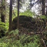 Santiam Wagon Road to House Rock, Oregon - 426 Reviews, Map | AllTrails