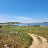 Hensley Lake Day Use Areas Trail, California - 356 Reviews, Map | AllTrails