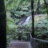 Toorongo and Amphitheatre Falls, Victoria, Australia - 199 Reviews, Map ...