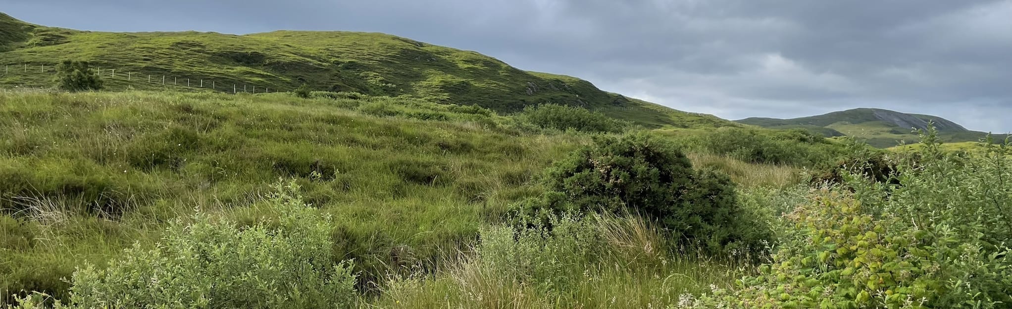 Broadford Circular: 19 Reviews, Map - Highlands, Scotland | AllTrails