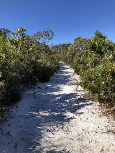 Best Hikes and Trails in Naree Budjong Djara National Park | AllTrails