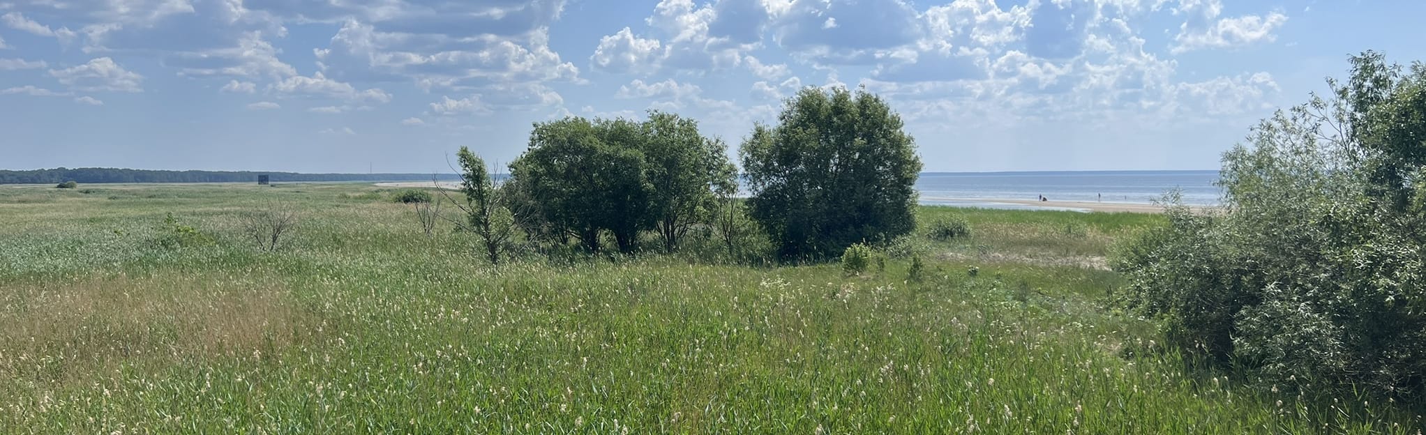 Pärnu rannaniidu matkarada: 3 Reviews, Map - Pärnumaa, Estonia | AllTrails