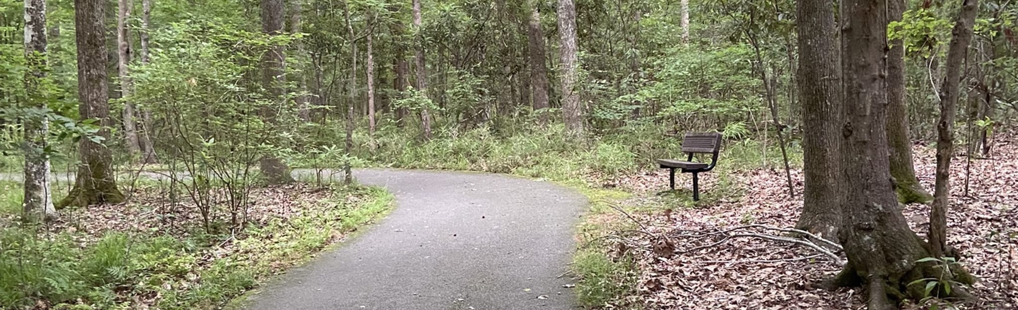 West Neck Creek Paved Trail Loop, Virginia - 100 Reviews, Map | AllTrails