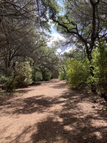 10 Best Walking Trails in Monsanto Forest Park | AllTrails