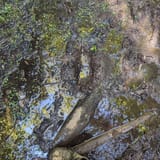 Amethyst Cove Trail, Nova Scotia, Canada - 341 Reviews, Map | AllTrails