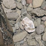 Amethyst Cove Trail, Nova Scotia, Canada - 341 Reviews, Map | AllTrails