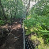 Amethyst Cove Trail, Nova Scotia, Canada - 341 Reviews, Map | AllTrails
