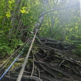 Amethyst Cove Trail, Nova Scotia, Canada - 341 Reviews, Map | AllTrails