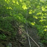 Amethyst Cove Trail, Nova Scotia, Canada - 341 Reviews, Map | AllTrails