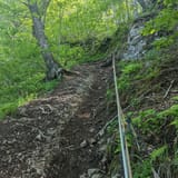 Amethyst Cove Trail, Nova Scotia, Canada - 341 Reviews, Map | AllTrails
