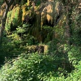 Gorman Falls Trail, Texas - 1,013 Reviews, Map | AllTrails