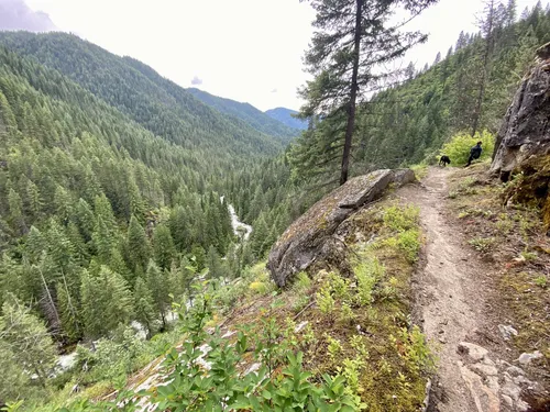 Best Backpacking Trails in Selway-Bitterroot Wilderness | AllTrails