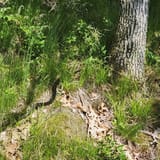 Wellesley Island State Park, New York - 460 Reviews, Map | AllTrails