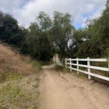Lost Trail and Brea Dam Trail, California - 330 Reviews, Map | AllTrails