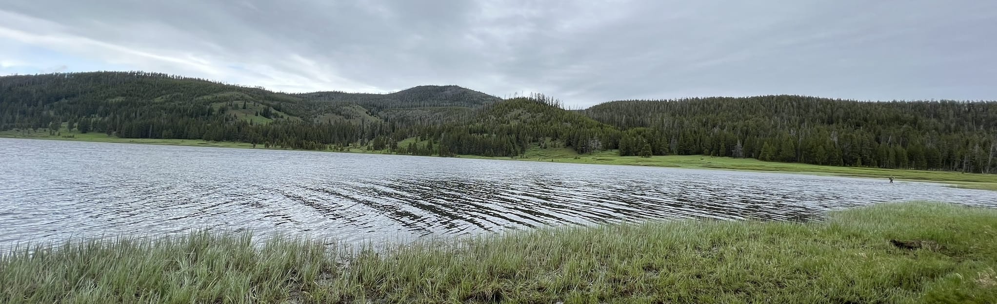 Grebe Lake Trail, Montana - 107 Reviews, Map | AllTrails