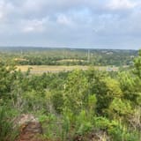 Lost Pines Trail, Texas - 648 Reviews, Map | AllTrails