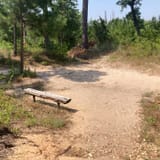Lost Pines Trail, Texas - 648 Reviews, Map | AllTrails